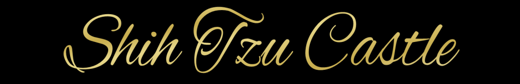 Shih Tzu Castle – Shih Tzu, Peka-Tzu, Osprey, Florida